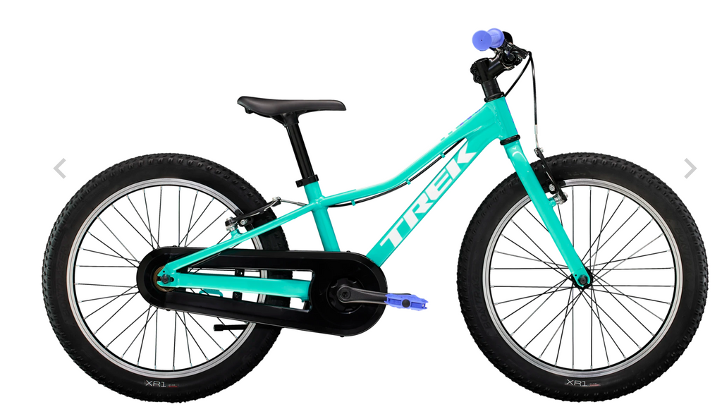 2024 Trek Precaliber 20 Freewheel Bicycle Express City Norwood stores